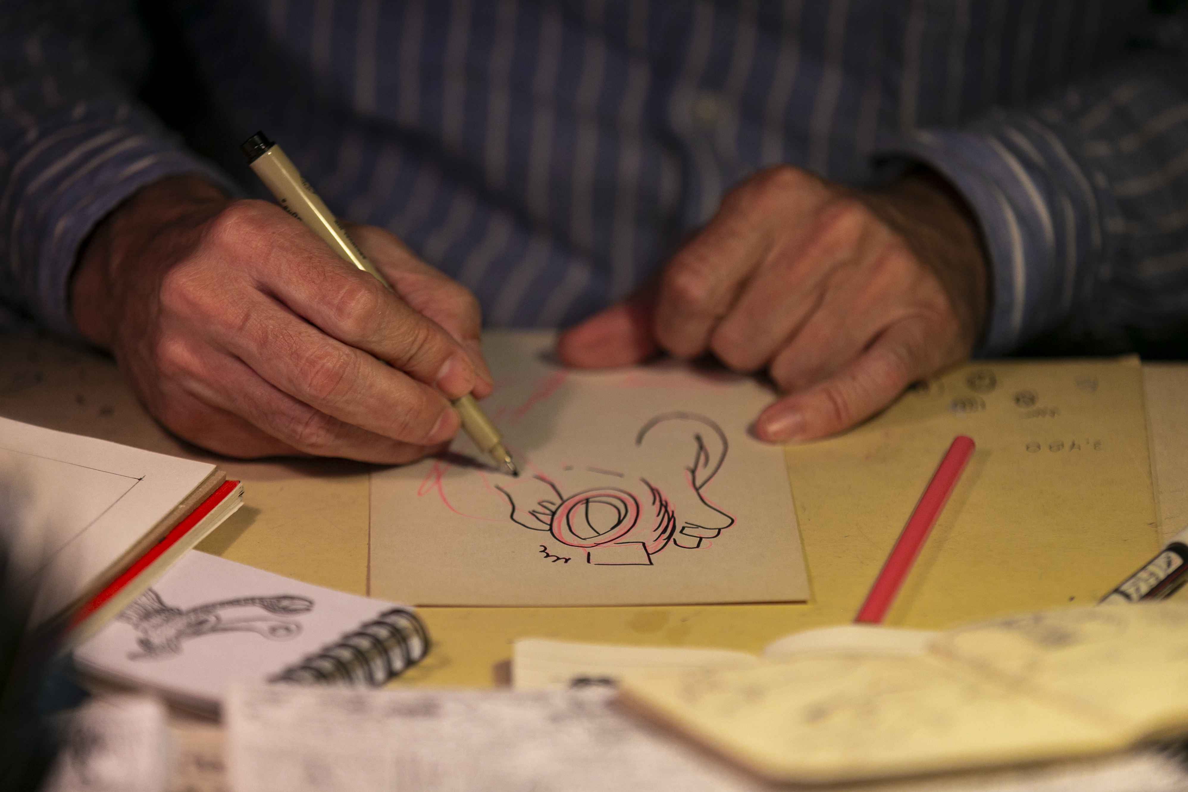 “JIS” presenta exposición “Mística molusca”, en el Mupag | Universidad ...